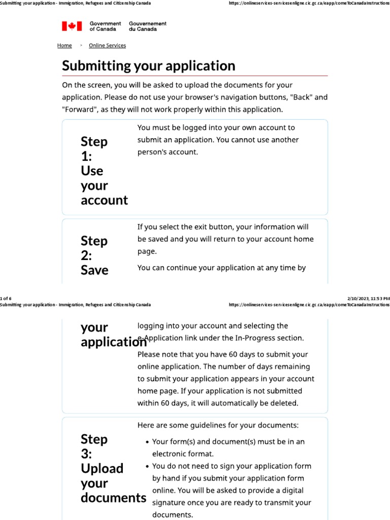Steps To Submit Application To IRCC | PDF