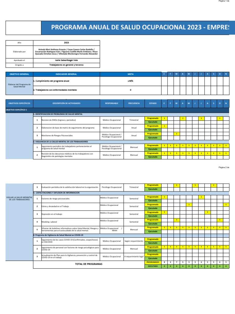 Programa Salud Mental | PDF | Seguridad y salud ocupacional | Salud pública