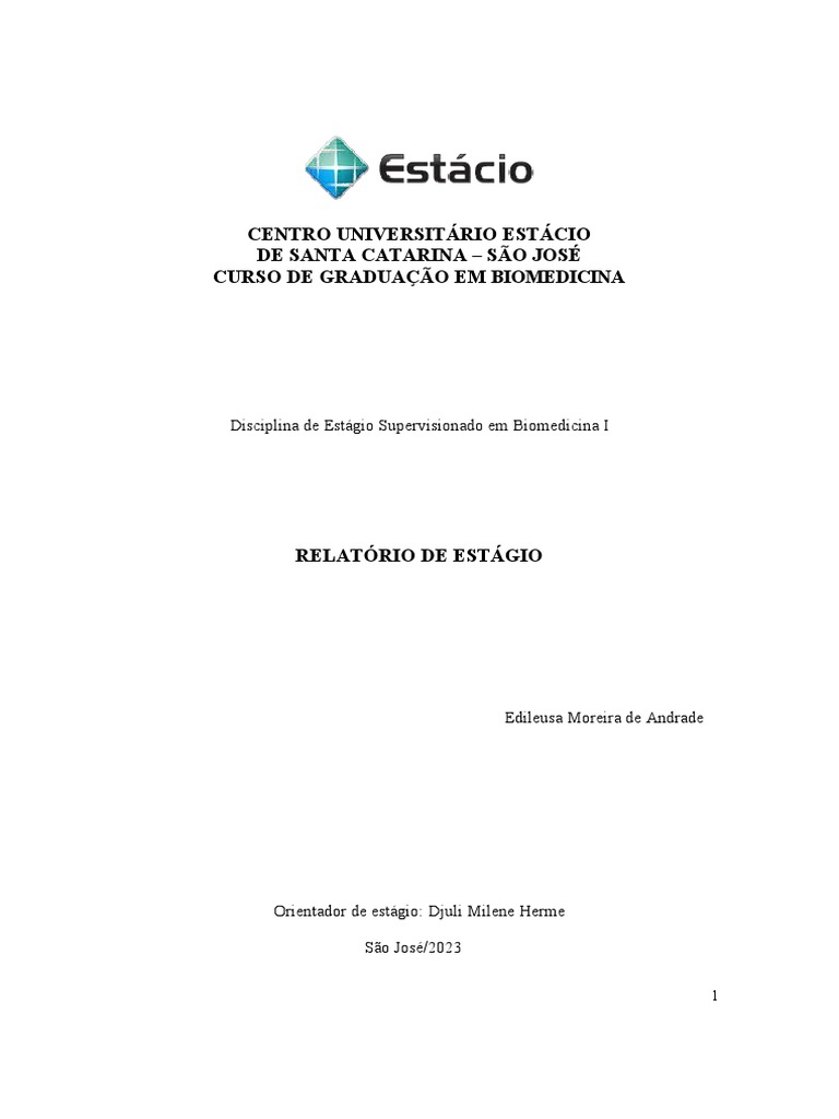Relatório de Estágio Nas Normas | PDF