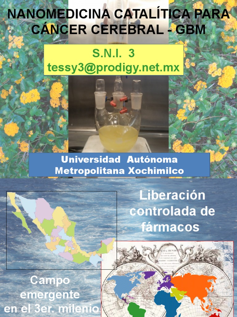 8 - InCAN Nanomed. Catal - Cáncer | PDF