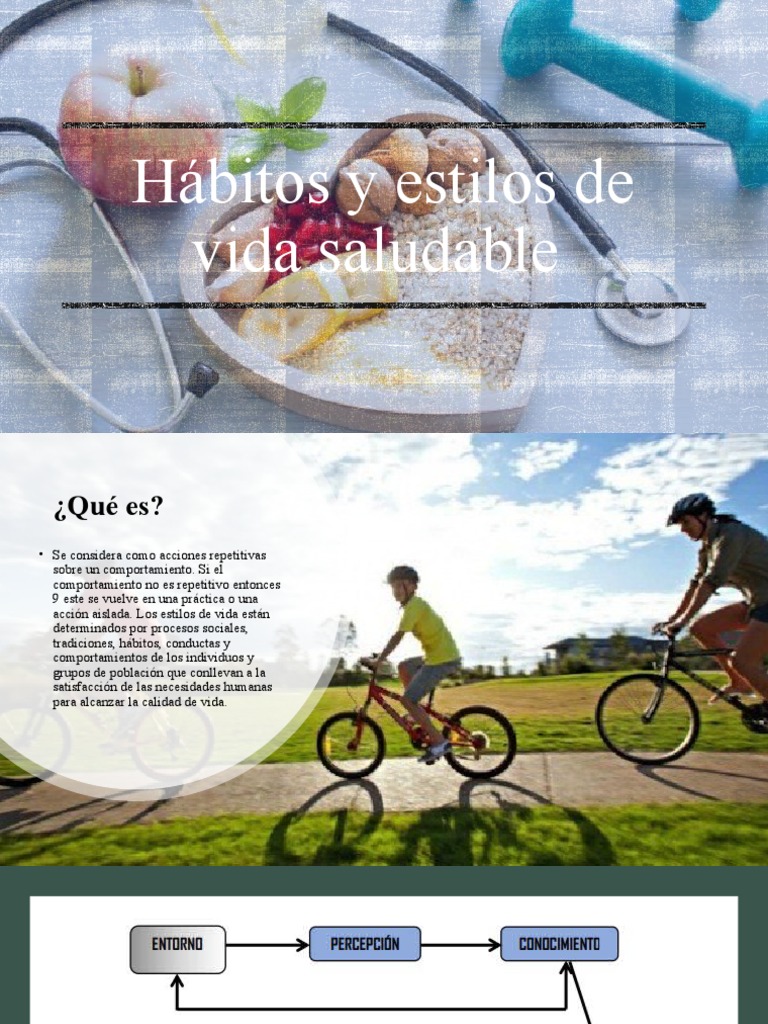 HÃ¡bitos y Estilos de Vida Saludable | PDF | Comportamiento | Estrés (biología)