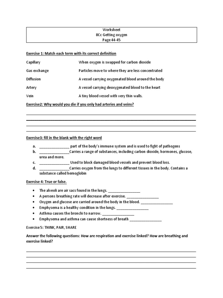8Cc getting oxygen Worksheet | PDF | Blood | Blood Vessel