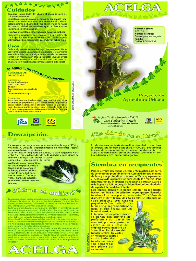 Fichas Técnicas JBB | PDF