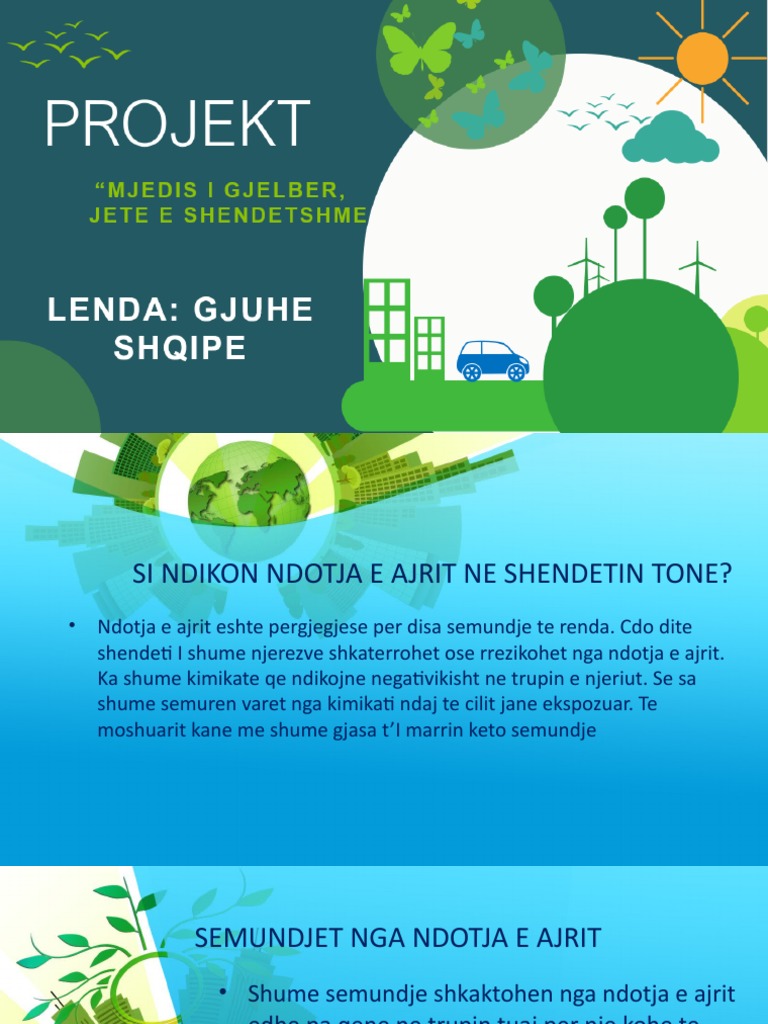 Projekt Gjuhe Shqipe | PDF