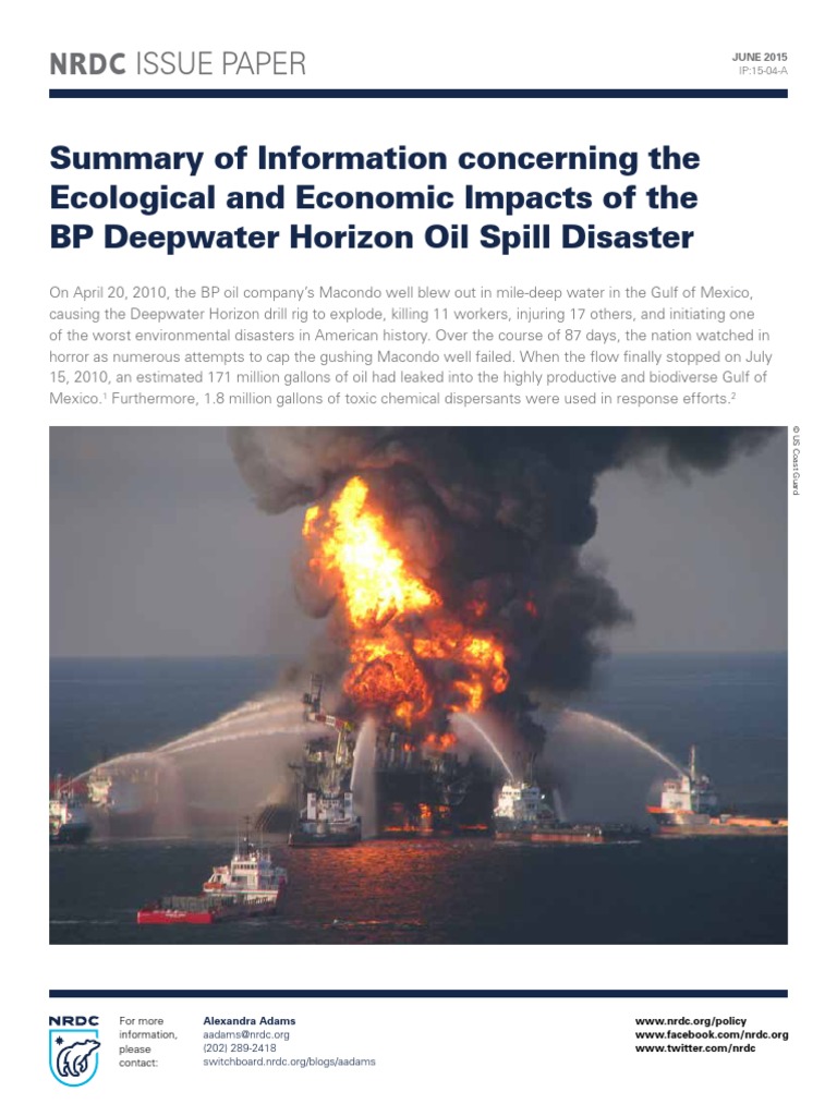 BP Oil Spill: Ecological & Economic Impact | PDF | Deepwater Horizon ...