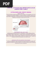 Citologia de Moco Fecal | PDF | Heces | Diarrea