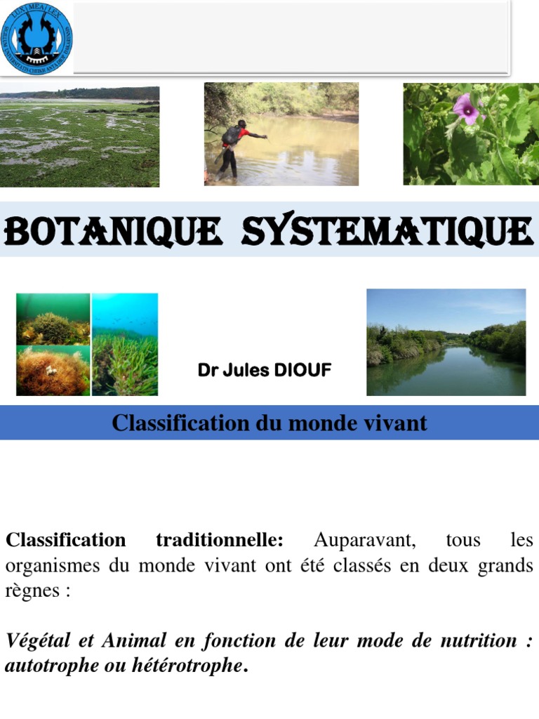 Botanique Systematique | PDF