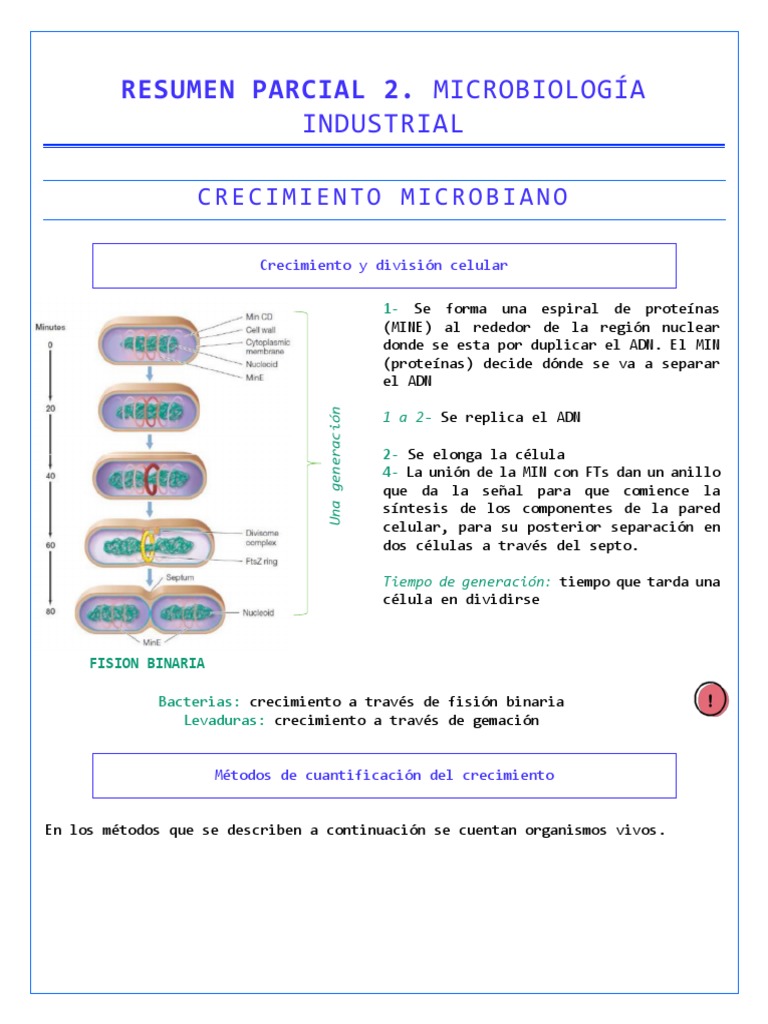 Resumen P2 | PDF | Secuencia ADN | Adn