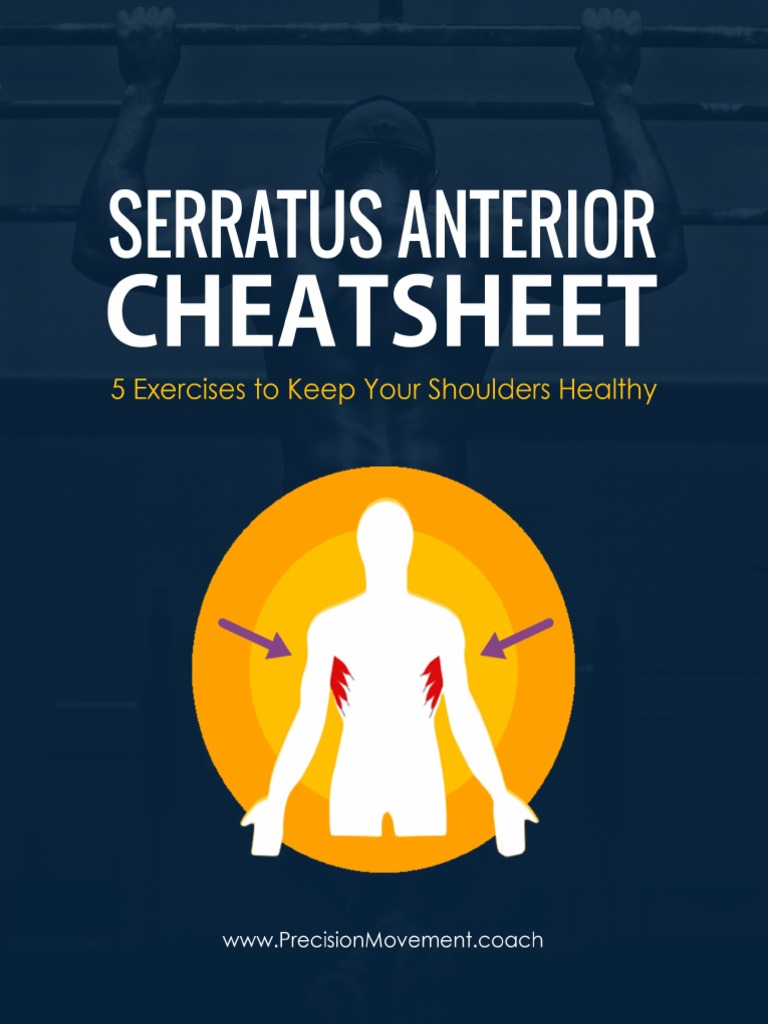 Serratus-Anterior-Exercises-Cheatsheet-PMc | PDF | Anatomical Terms Of ...