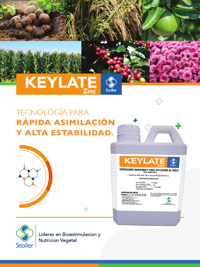 Keylate Zinc: Bioestimulación Eficiente | PDF | Fertilizante | Zinc