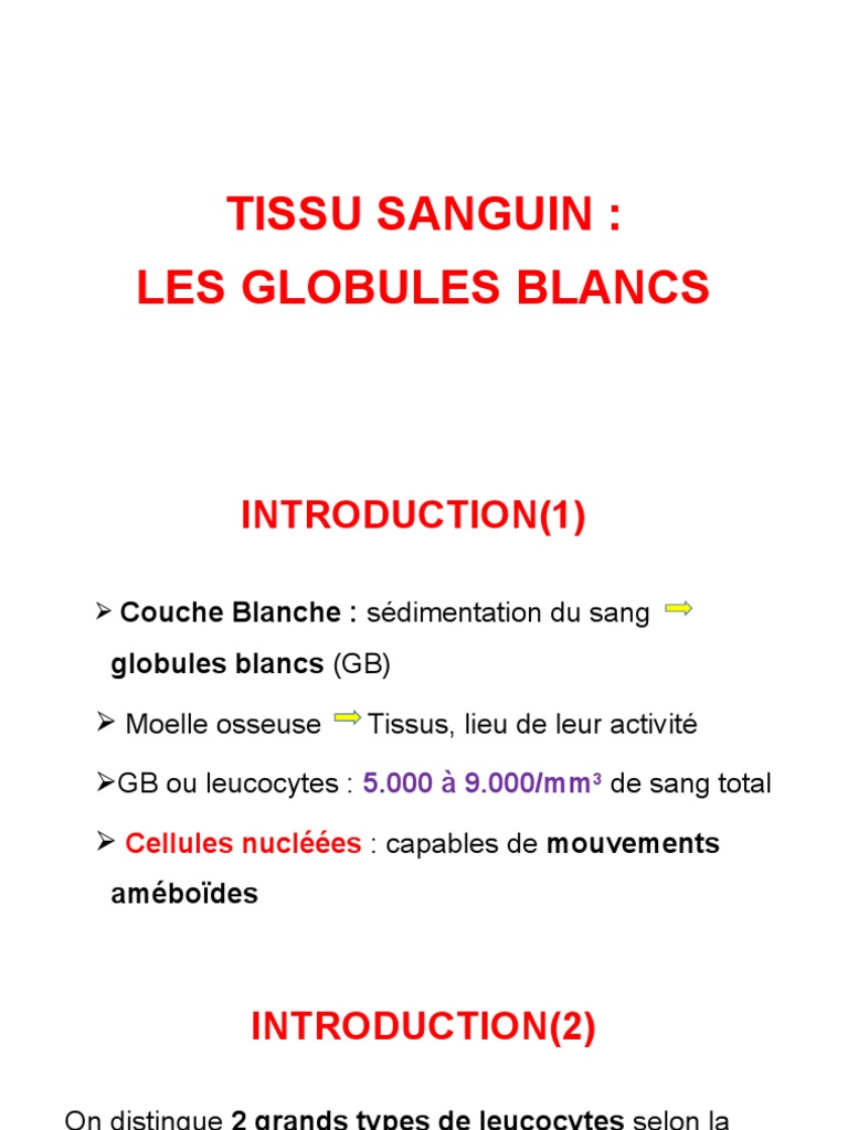 Globules Blancs | PDF | Globule blanc | Lymphocyte