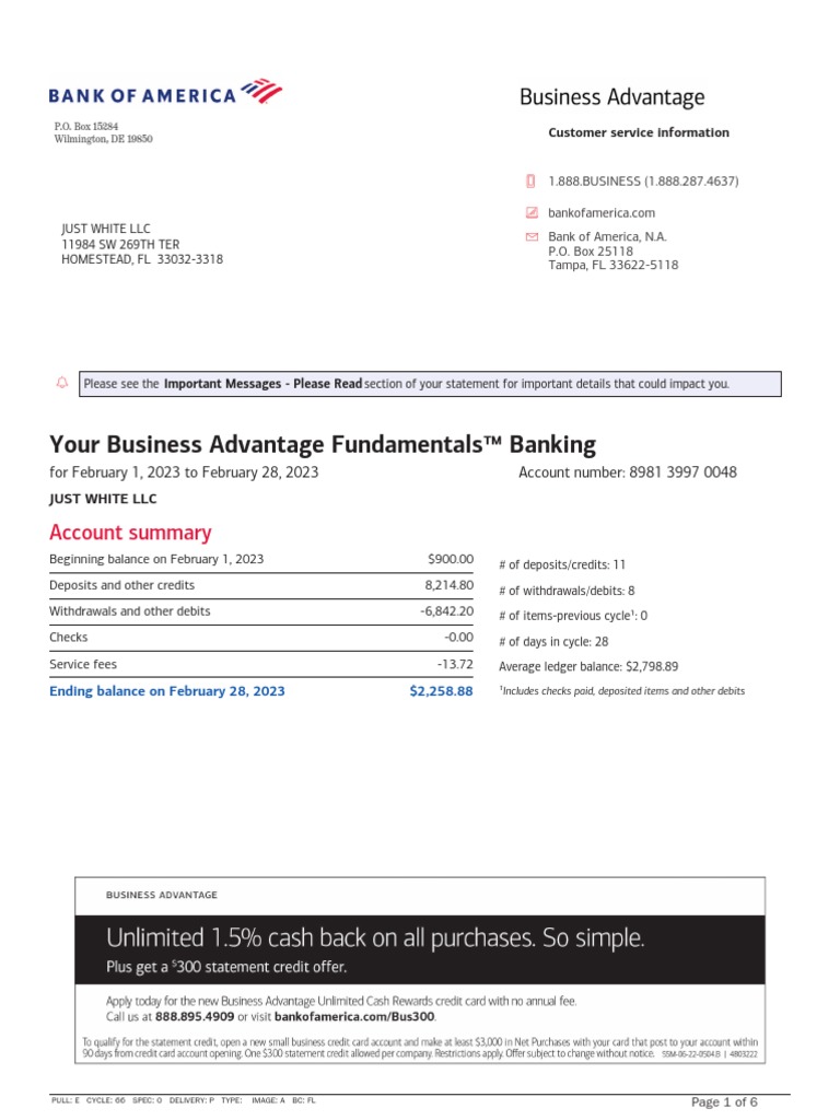 Statement Bank FEBRUARY Just White LLC 4f132828a8 | PDF | Debits And ...