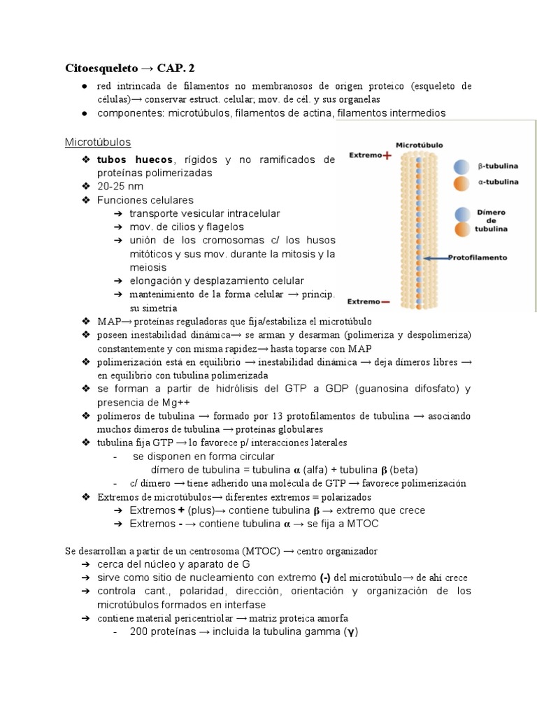 Biologia - Resumen - Cap. 2 | PDF