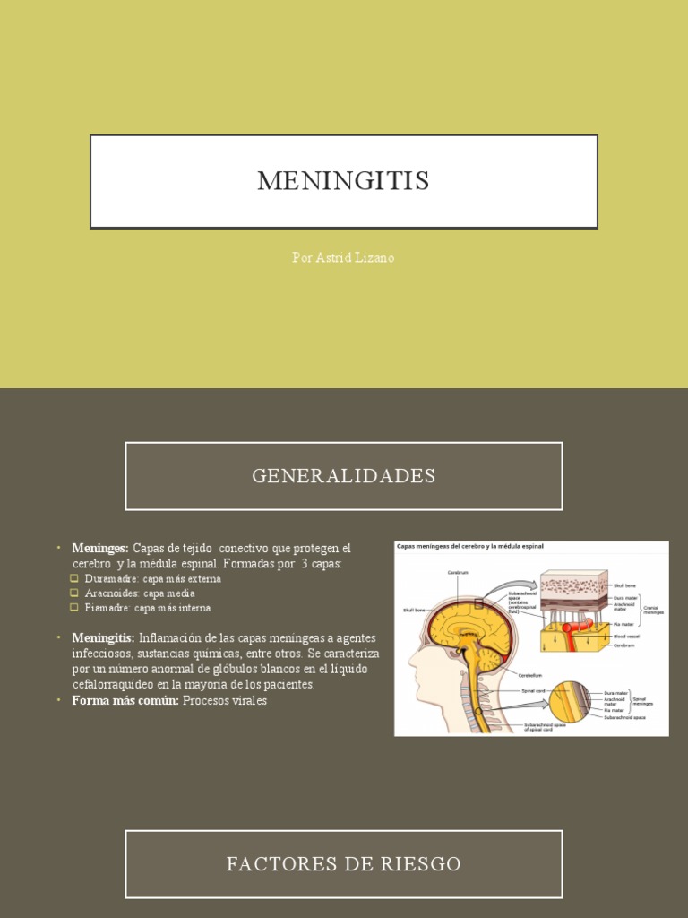 Meningitis: Síntomas, diagnóstico y tratamiento | PDF | Meningitis ...