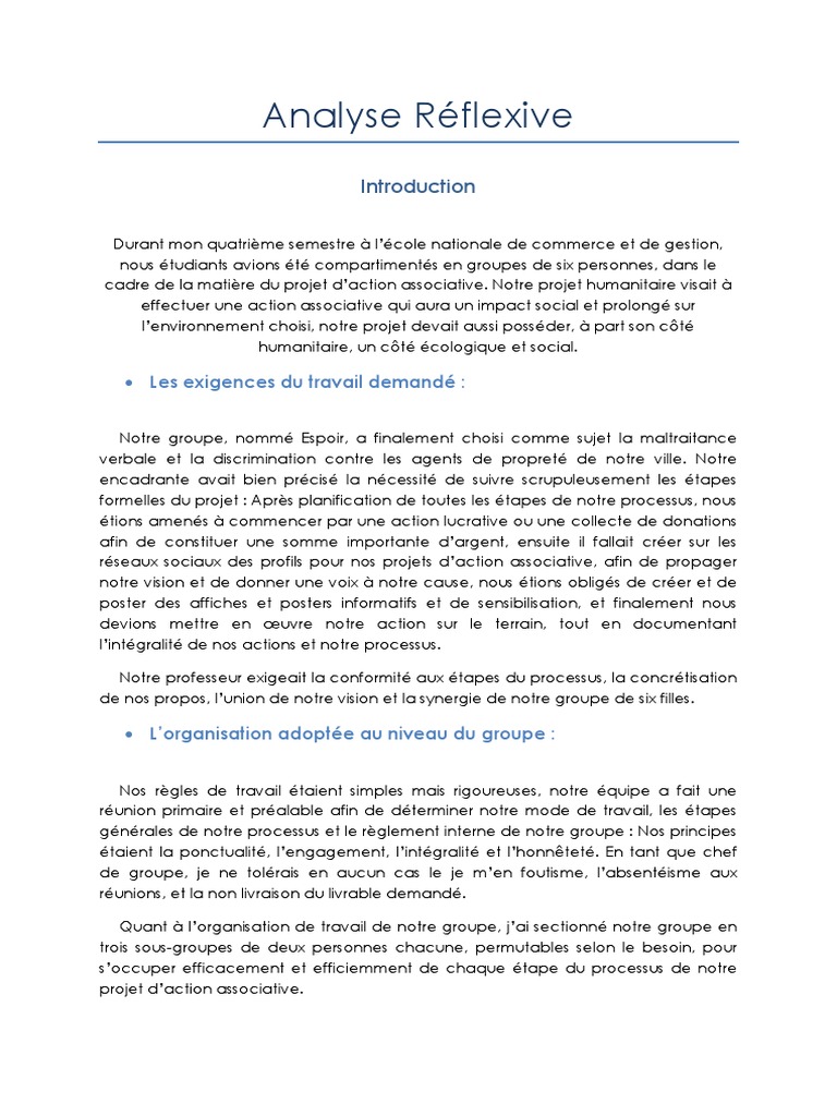 Analyse Réflexive | PDF | Planification