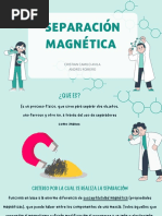 Método de Separación - Imantación | PDF | Imán | Magnetización