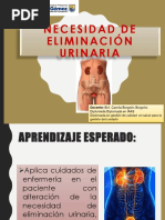 GUÍA de PROCEDIMIENTOS Control de La Diuresis | PDF | Vejiga urinaria ...