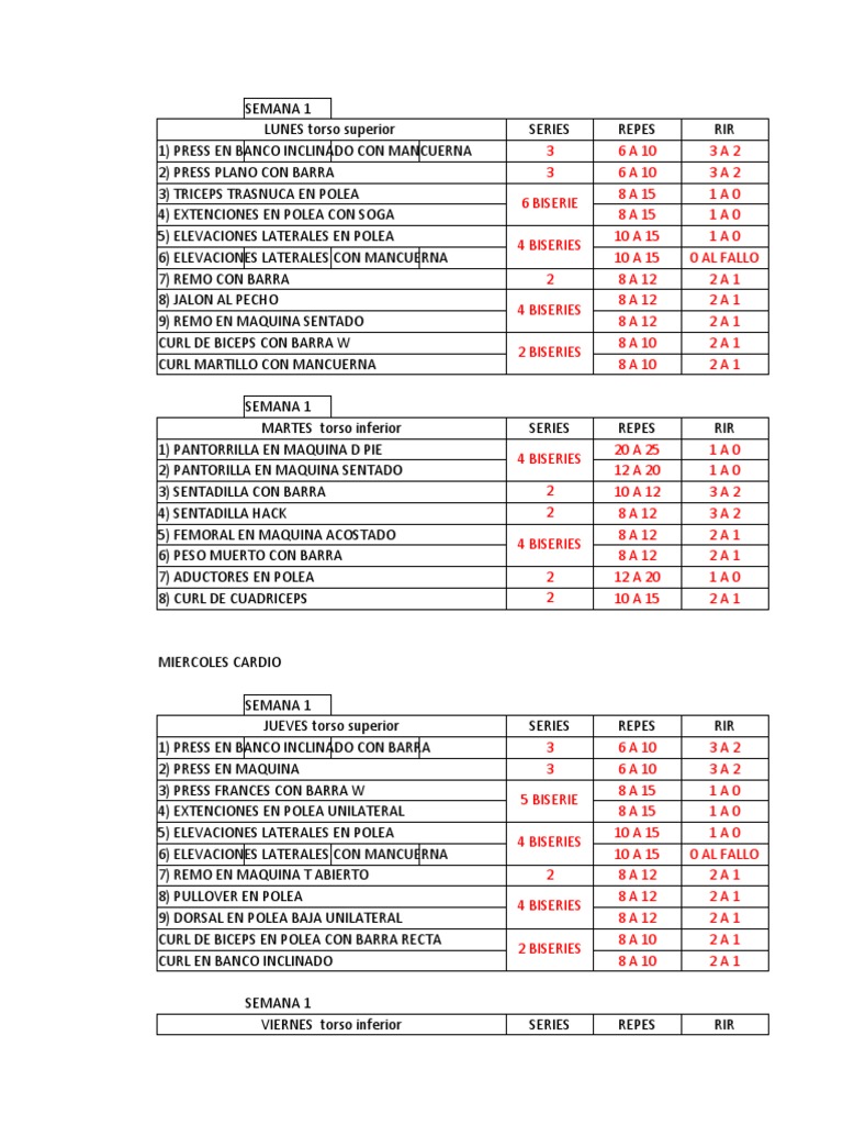 Rutina Gym | PDF | Ejercicio físico | Peso del cuerpo humano