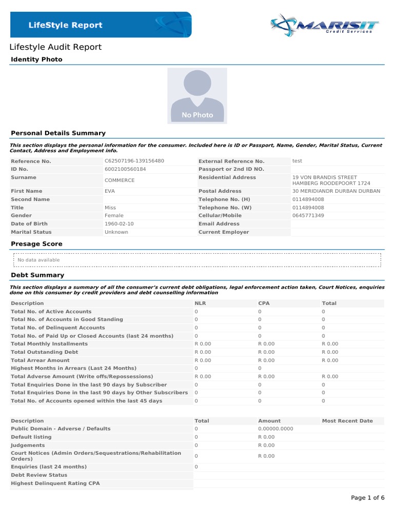 Lifestyle Audit Report Example | PDF