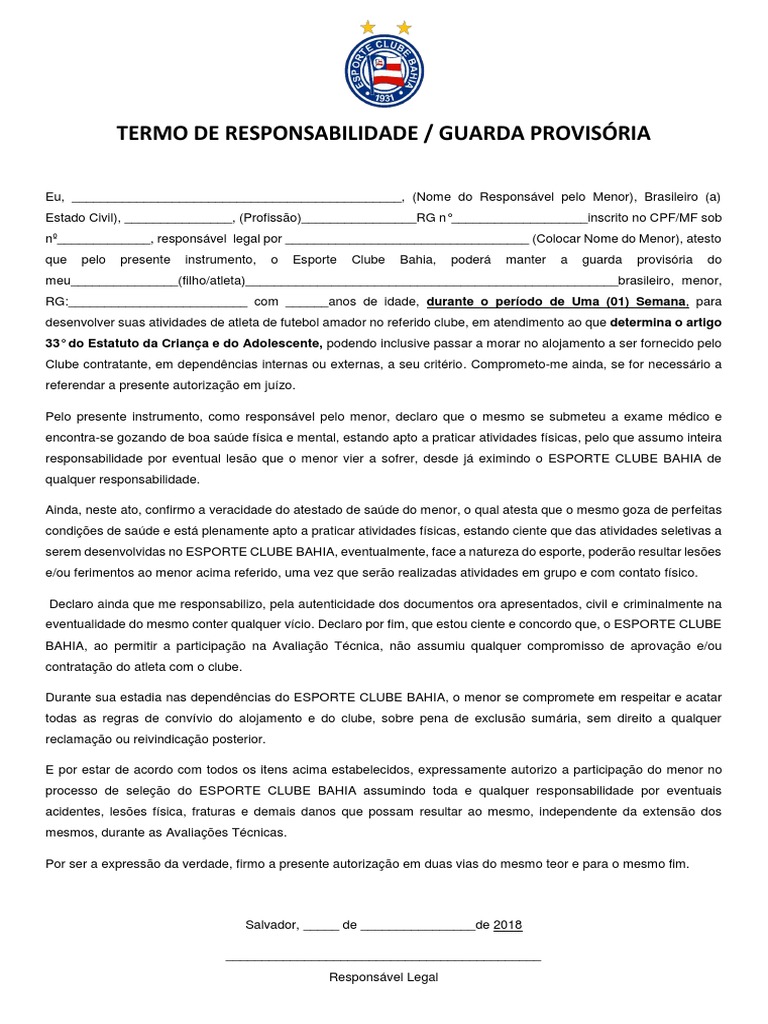 01 Termo de Responsabilidade Guarda Provisória | PDF