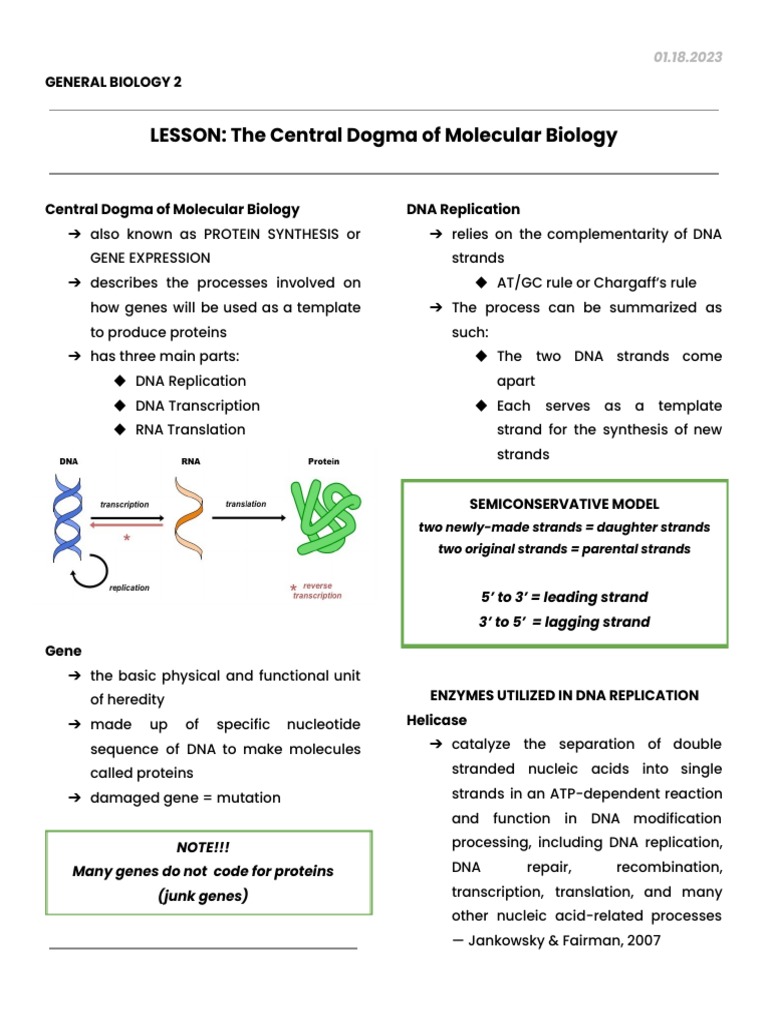 GENBIO2 - Lesson - The Central Dogma of Molecular Biology | PDF | Dna ...