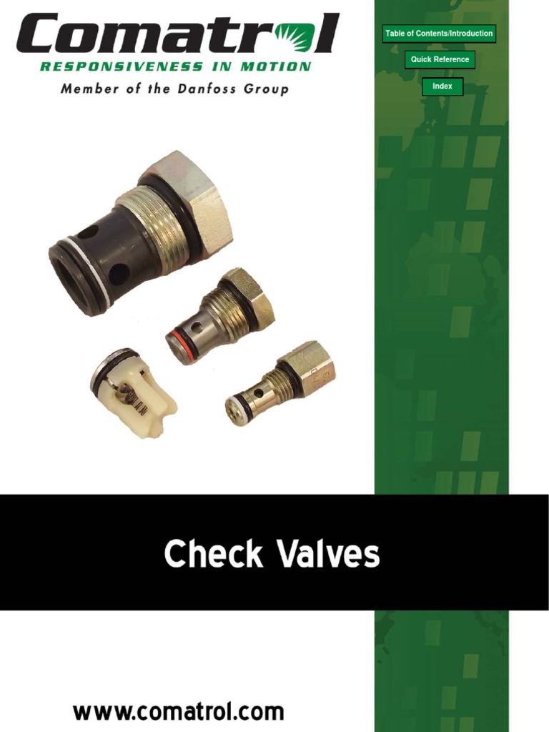 Check Valves Catalog Overview | PDF | Valve | Equipment