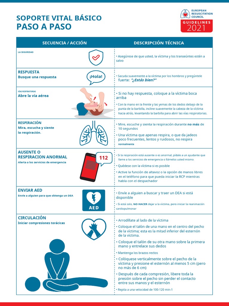 3.Bls Algorithms Step by Step - En.es | PDF | Reanimación ...