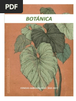 Clase 1 FyF, Introduccion A La Botanica y Taxonomia-1 | PDF | Botánica ...