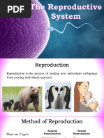 Reproductive System | PDF | Reproductive System | Dominance (Genetics)