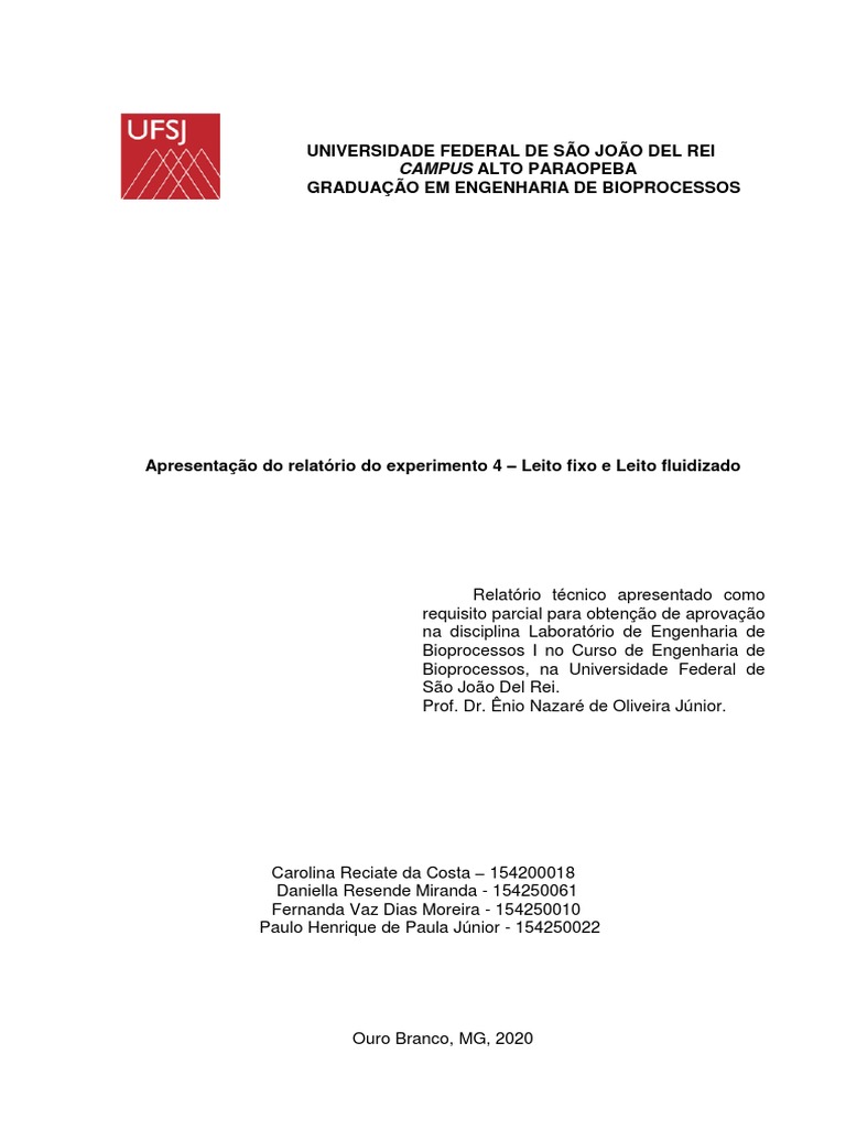 Experimento de Leito Fixo e Fluidizado | PDF | Pressão | Cálculo