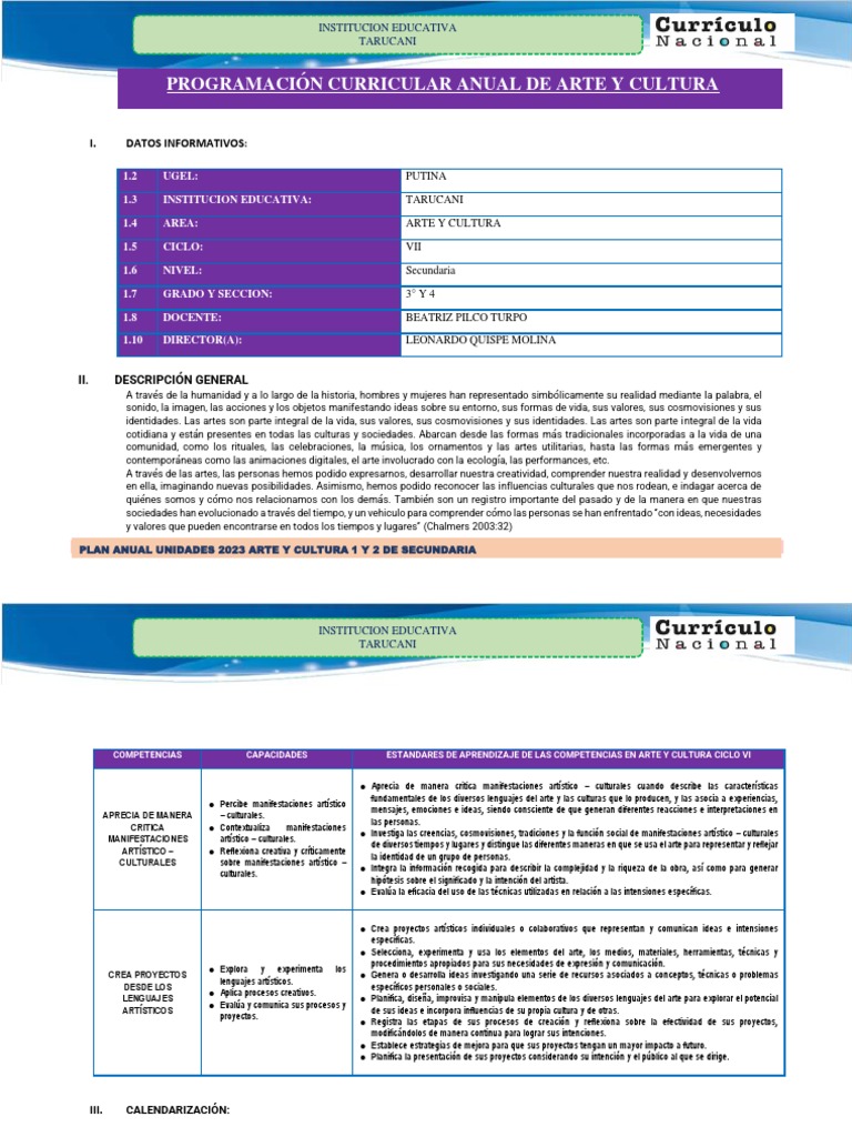 PLAN ANUAL ARTE Y CULTURA 1RO y 2DO | PDF | Adultos | Residuos