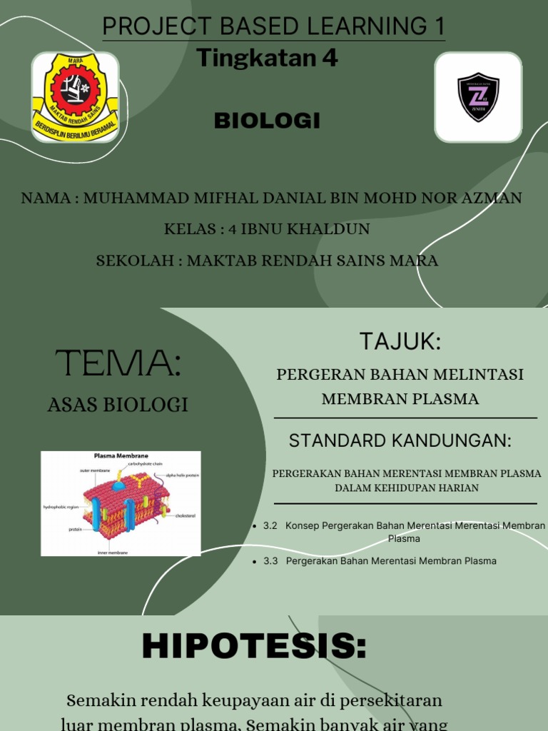 Green Blobs Basic Simple Presentation | PDF