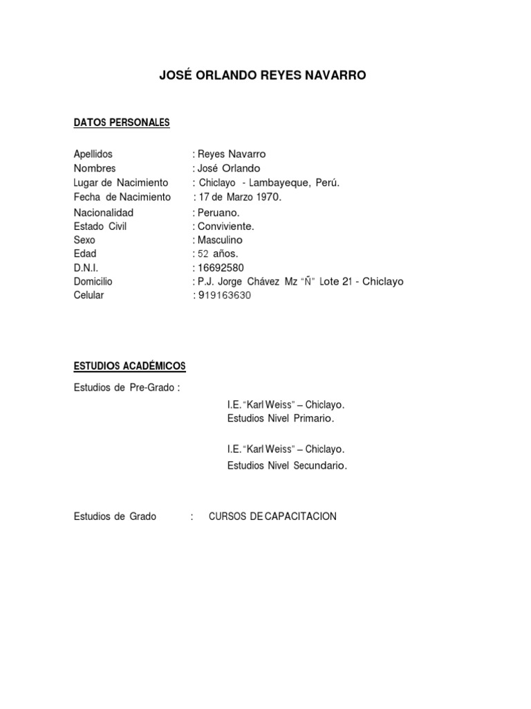 CV Jose O. Reyes Navarro - Act | PDF | Ingeniería