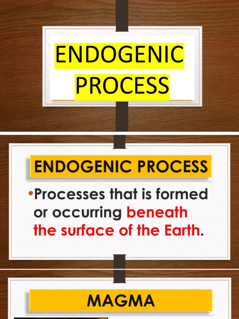 Endogenic Processes | PDF