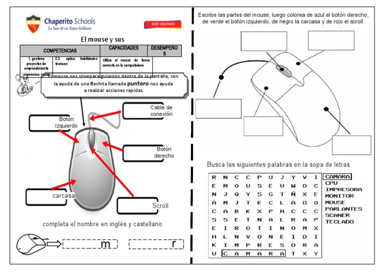 El Mouse y Sus Partes 2 de Primaria | PDF