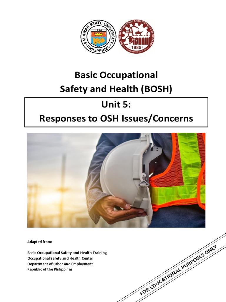 Bosh | PDF | Occupational Safety And Health | Safety