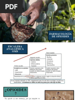 Succinilcolina: Usos y Contraindicaciones | PDF | Farmacología | Medicina