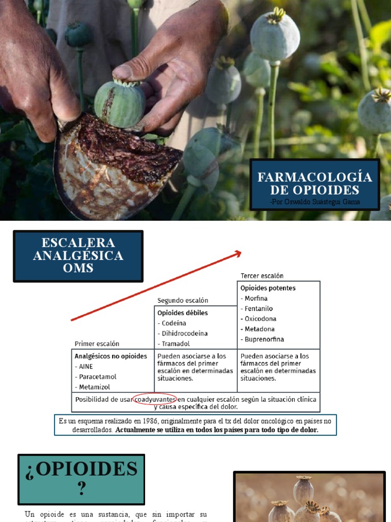 Farmacología de Opioides | PDF | Opioide | Farmacología
