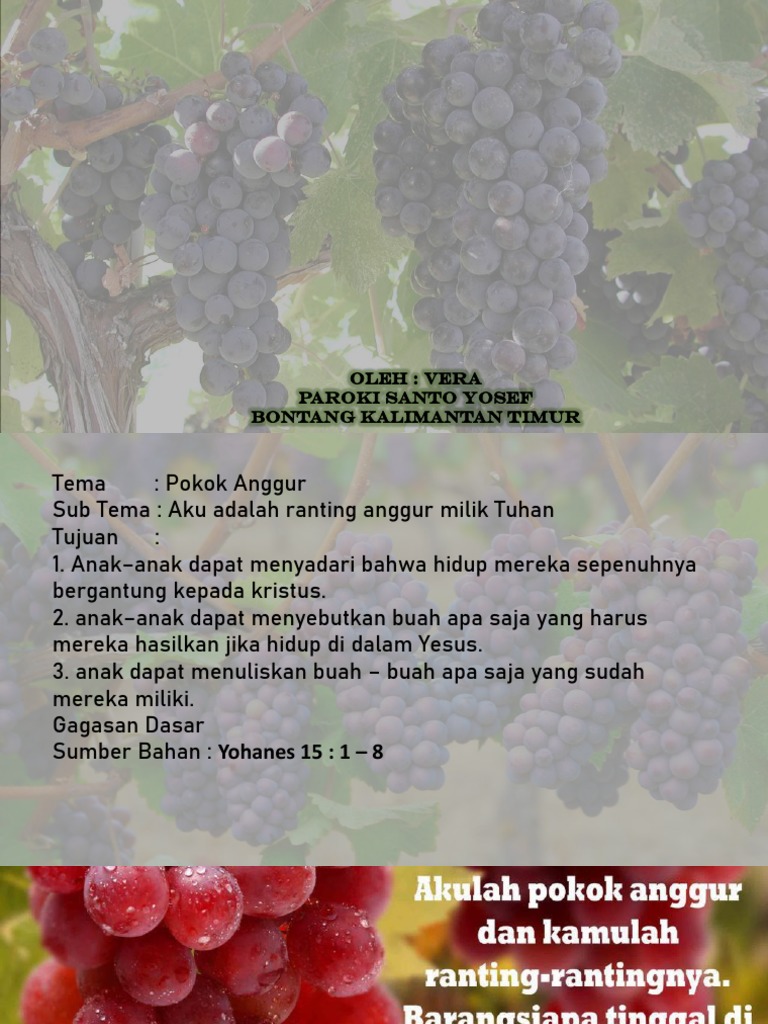 Pokok Anggur VERA WATI MARLIN BONTANG KALIMANTAN TIMUR | PDF ...