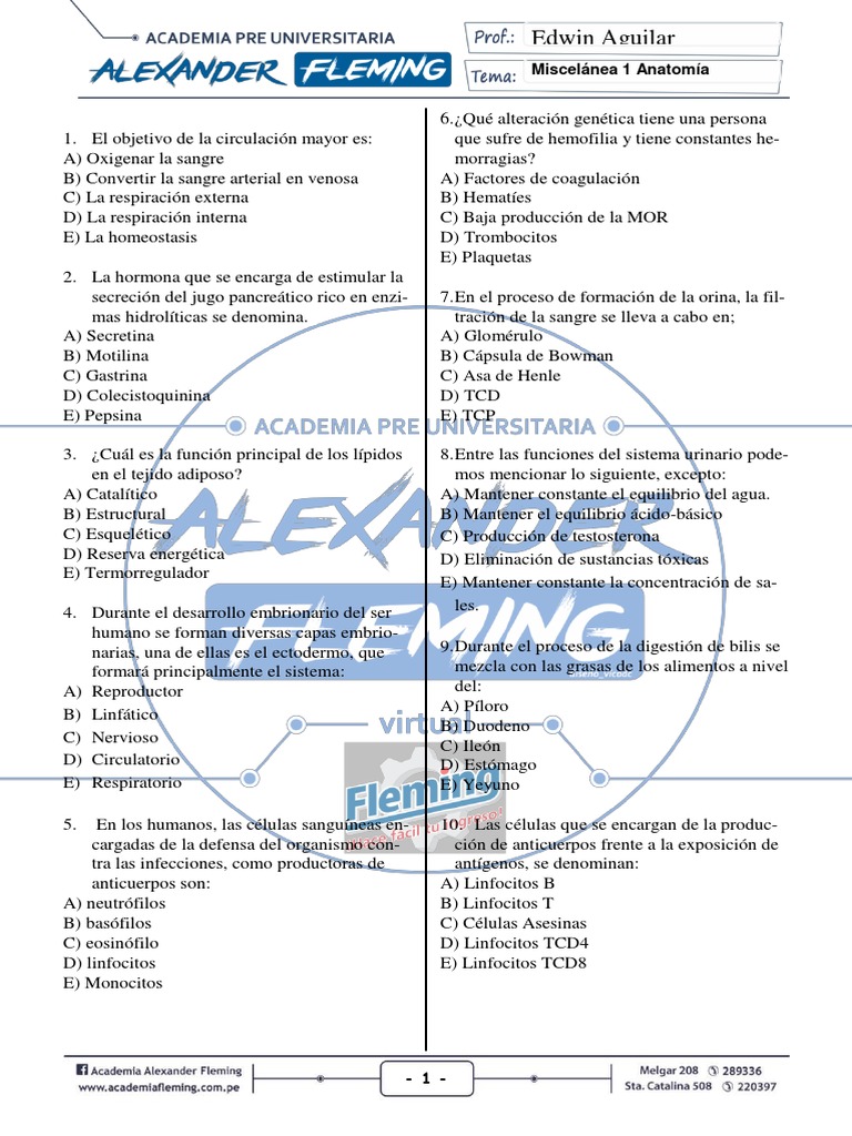 Miscelánea 2 (Anatomia - San Marcos y Unsa) | PDF | Linfocitos | Sangre