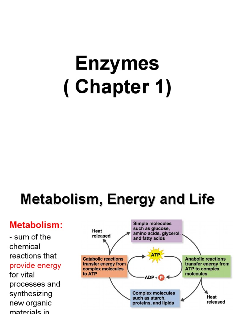 Chapter 1 - Enzymes | PDF | Enzyme | Enzyme Inhibitor