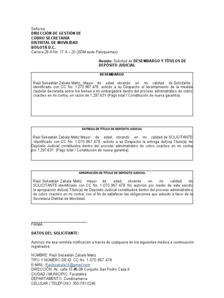 Formato Desembargo y TDJ .. | PDF