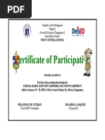 BSP Certificate | PDF | Scouting | Philippines