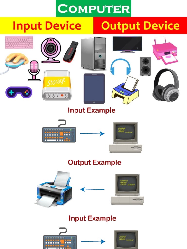 Input and Output Devices | PDF
