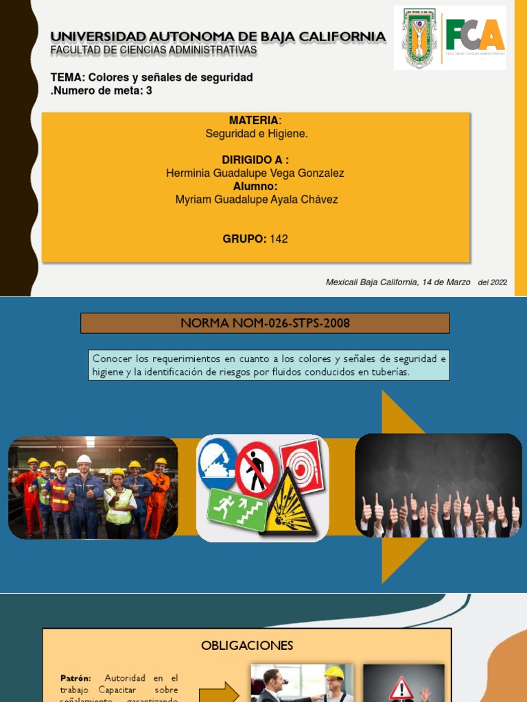 Norma Nom-026-Stps-2008 | PDF