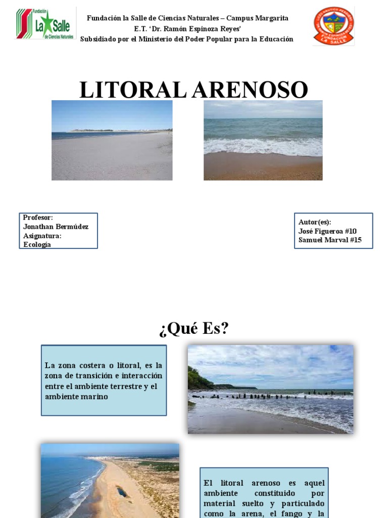 Características del Litoral Arenoso | PDF | Zona litoral | playa