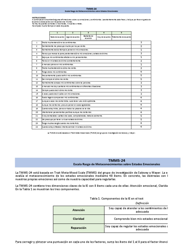 TMMS-24: Escala de Inteligencia Emocional | PDF | Las emociones | Sicología