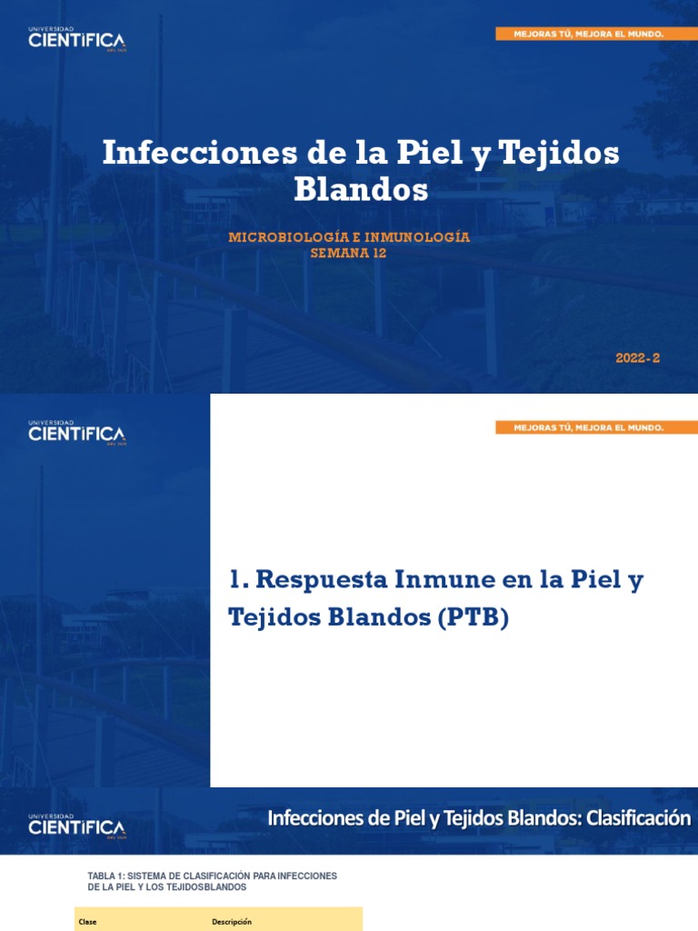 Clase N12 - Infecciones de La Piel y Tejidos Blandos | PDF