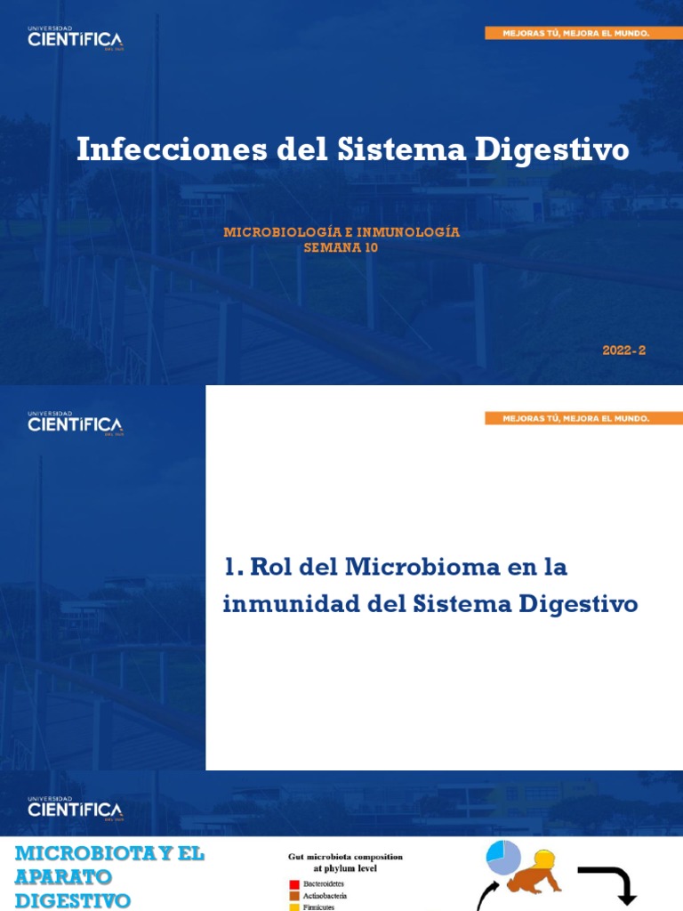 Clase N10 - Infecciones Del Sistema Digestivo | PDF | Escherichia coli | Diarrea