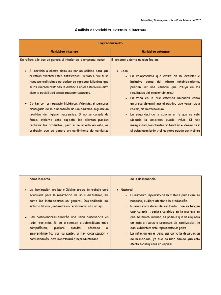 Variables Internas y Externas | PDF | Cliente | Iniciativa empresarial